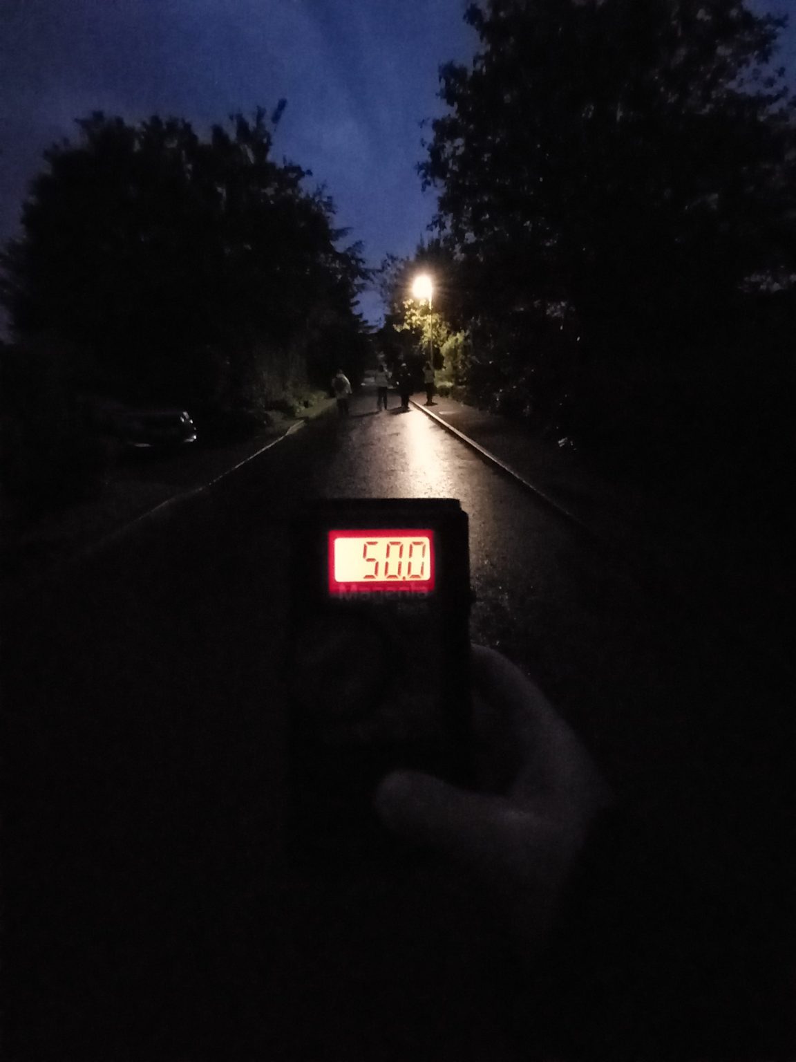 Using our ears to survey bats on the Solway Coast 👂 | Species On The Edge