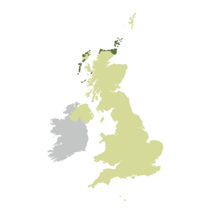 Great yellow bumblebee | Species On The Edge - Wildlife & Habitat ...