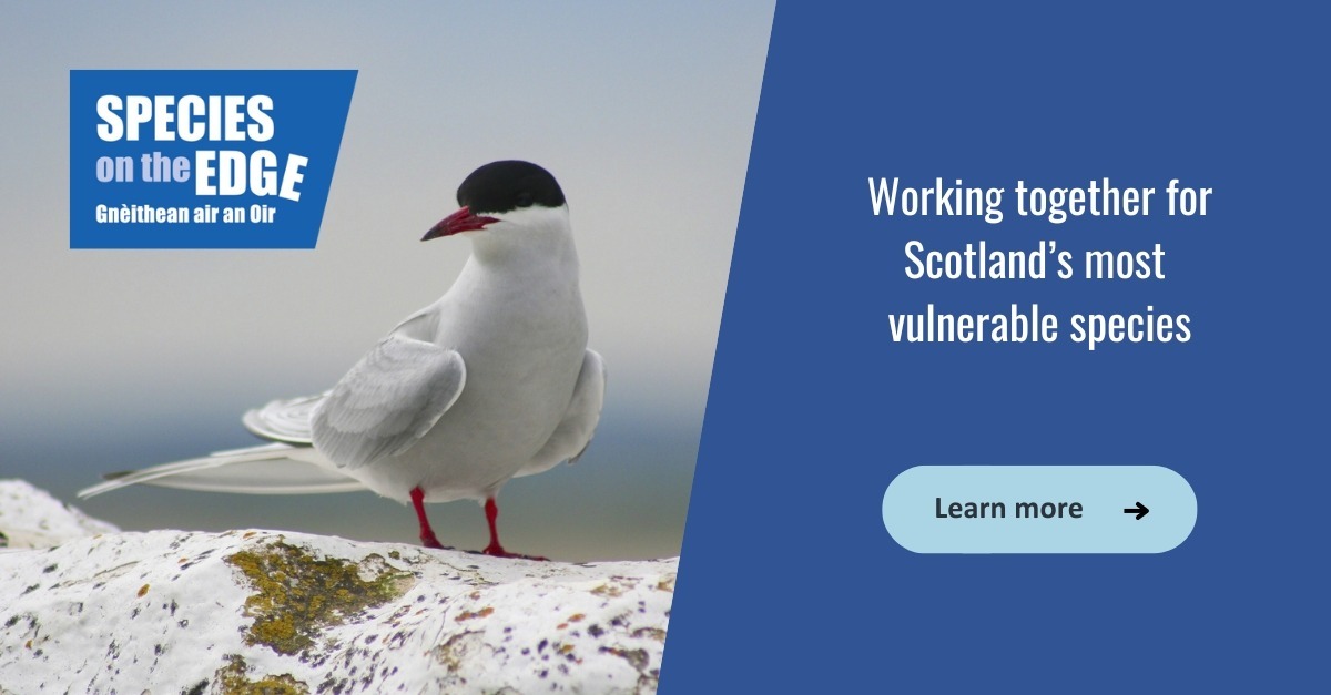 Species on the Edge - Conserving Scotland's Coastal Species
