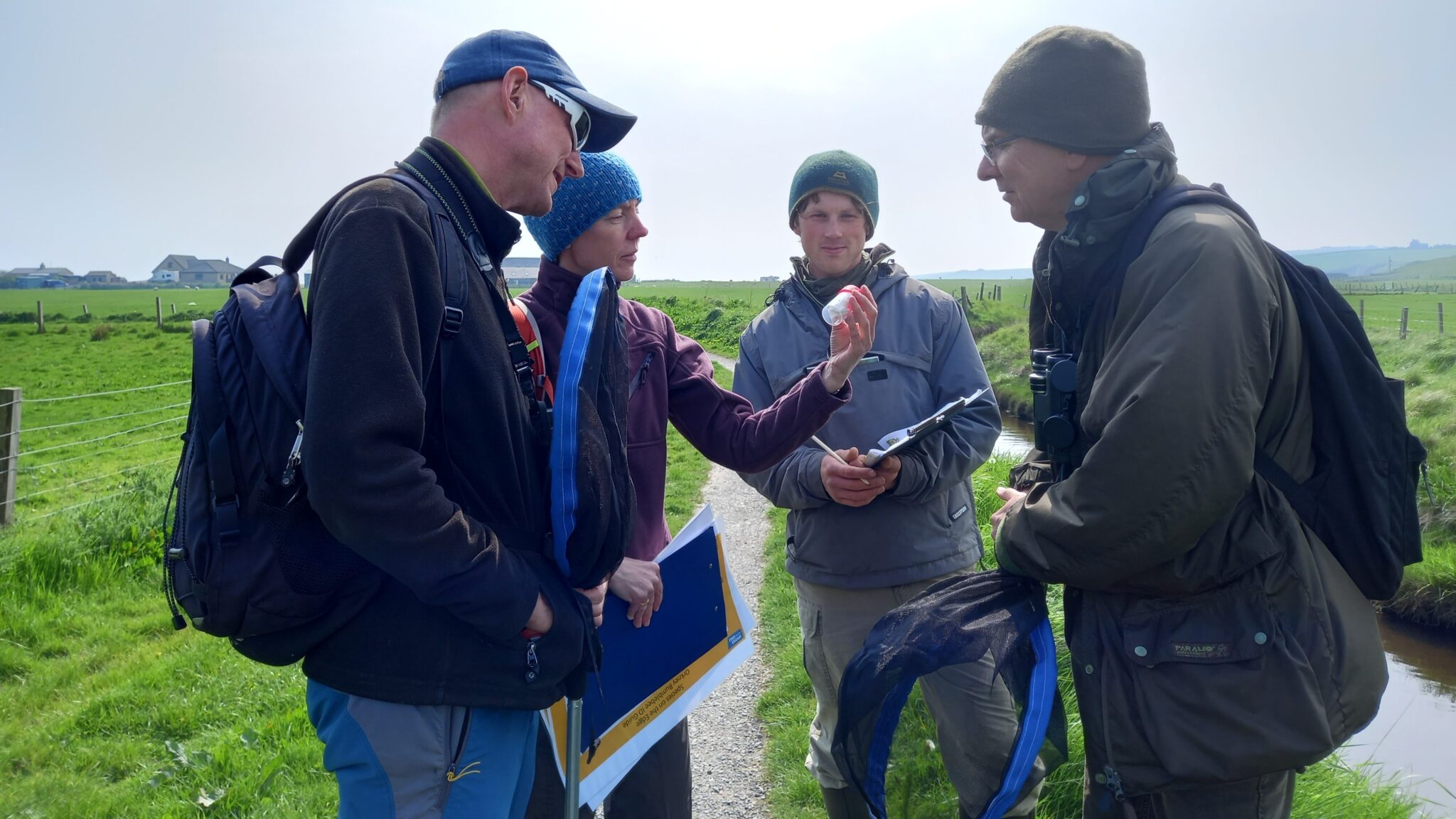 Help bumblebees by going on a BeeWalk! | Species On The Edge